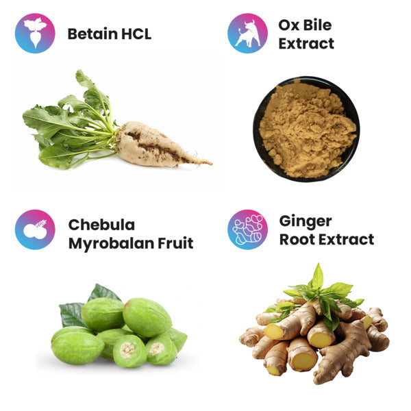 Ravenous Supplement - Appetite and Digestion Support | Project AD